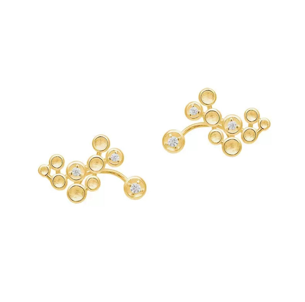 Mini Starry Night Earrings | Botanic Garden Jewellery | Lily Luna ...